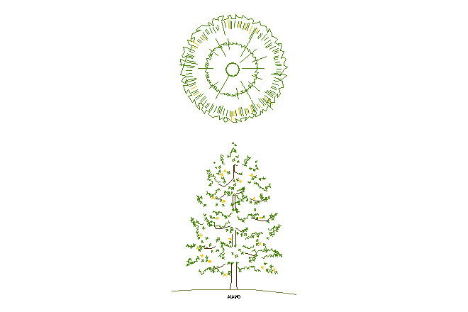 bloques Cad, Autocad, arquitectura, download, 2d, 3d, dwg, 3ds, library