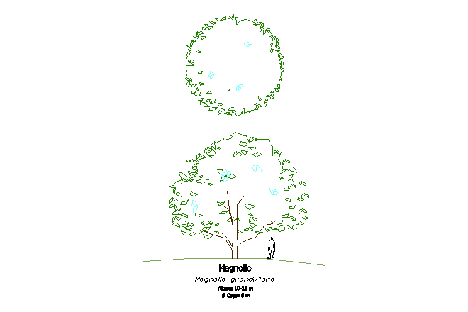 bloques Cad, Autocad, arquitectura, download, 2d, 3d, dwg, 3ds, library