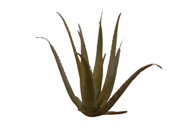 bloques Cad, Autocad, arquitectura, download, 2d, 3d, dwg, 3ds, library