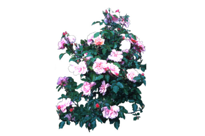 bloques Cad, Autocad, arquitectura, download, 2d, 3d, dwg, 3ds, library