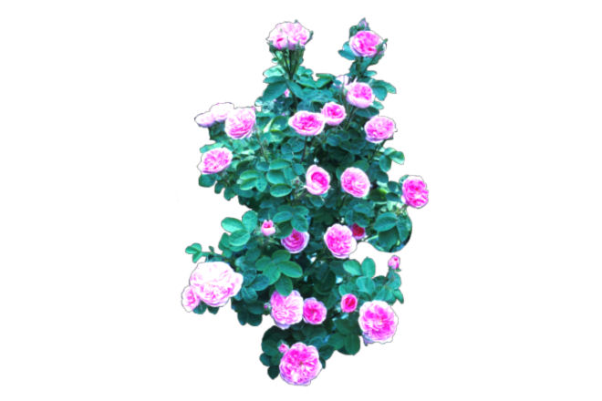 bloques Cad, Autocad, arquitectura, download, 2d, 3d, dwg, 3ds, library