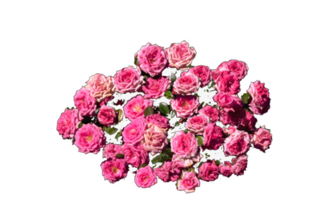 bloques Cad, Autocad, arquitectura, download, 2d, 3d, dwg, 3ds, library