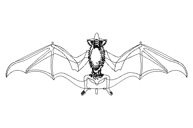 bloques Cad, Autocad, arquitectura, download, 2d, 3d, dwg, 3ds, library