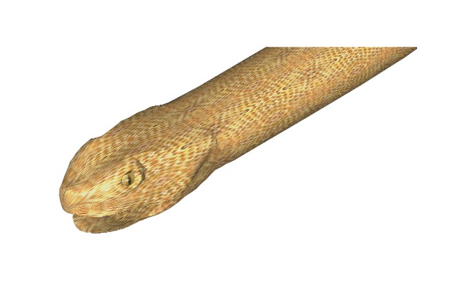 bloques Cad, Autocad, arquitectura, download, 2d, 3d, dwg, 3ds, library